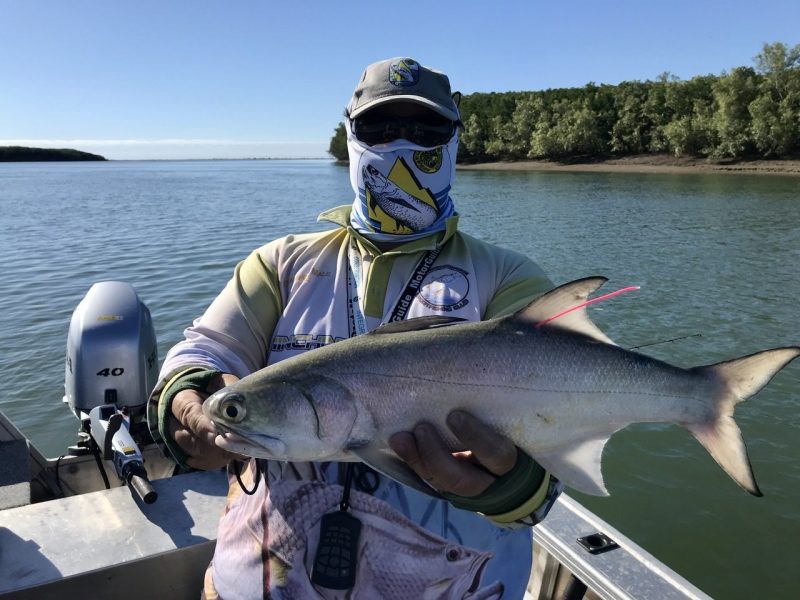 Trophy Fish Leaderboard | Australian National Sportsfishing Association ...