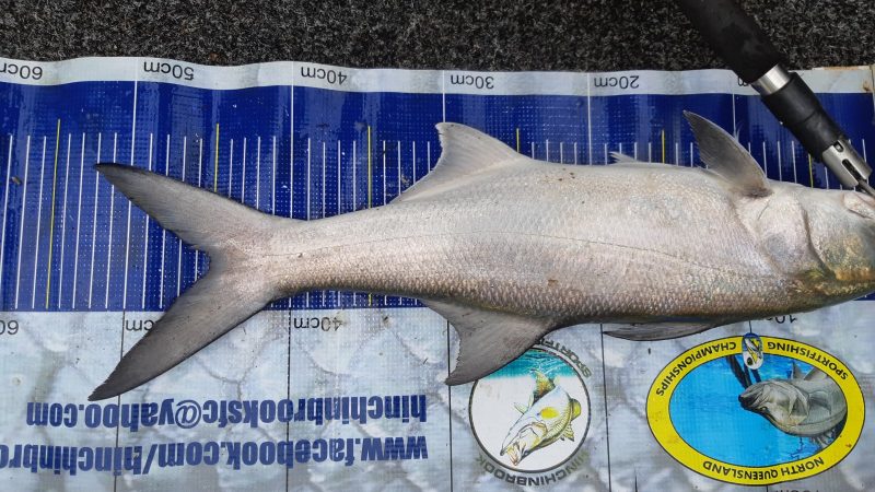 Trophy Fish Leaderboard | Australian National Sportsfishing Association ...