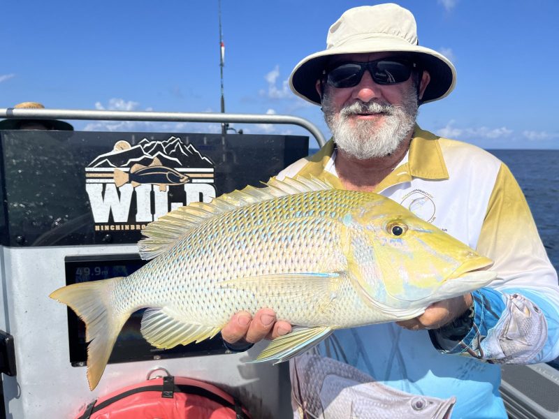 Trophy Fish Leaderboard | Australian National Sportsfishing Association ...