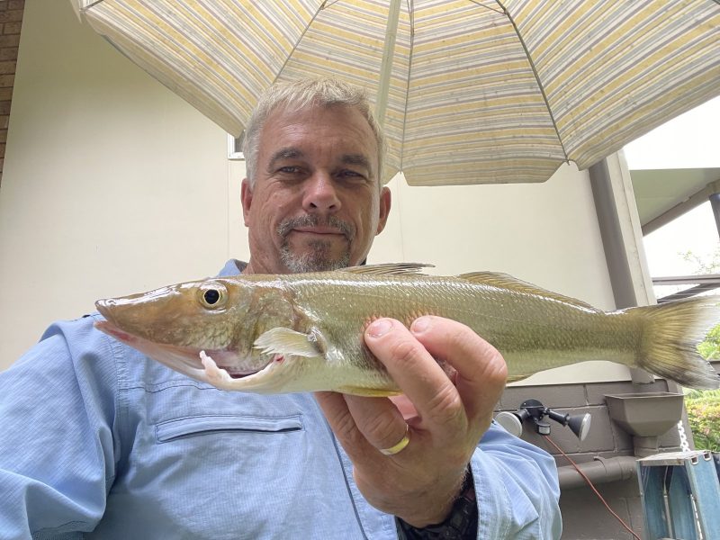 Trophy Fish Leaderboard | Australian National Sportsfishing Association ...