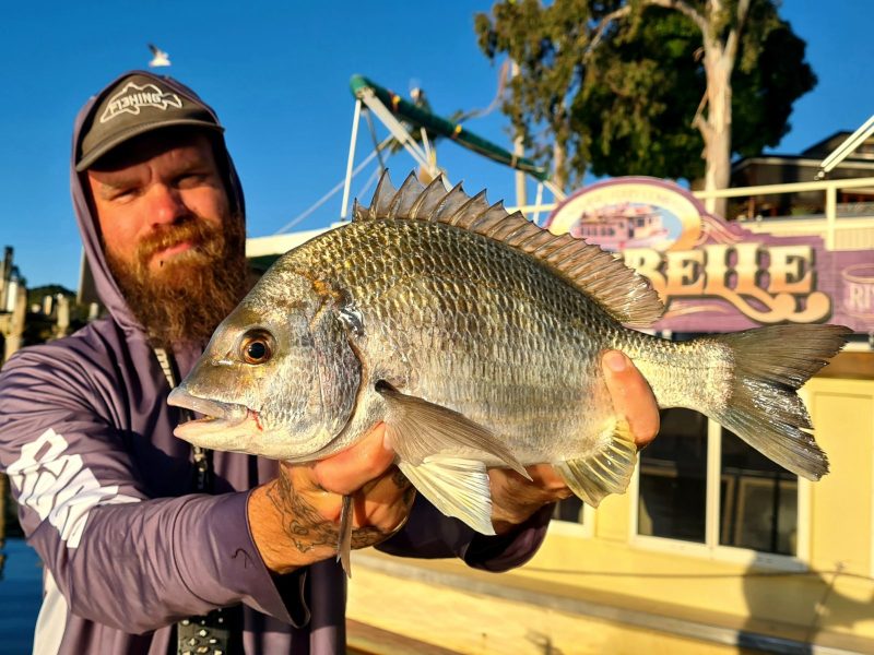 Trophy Fish Leaderboard - Australian National Sportsfishing Association ...
