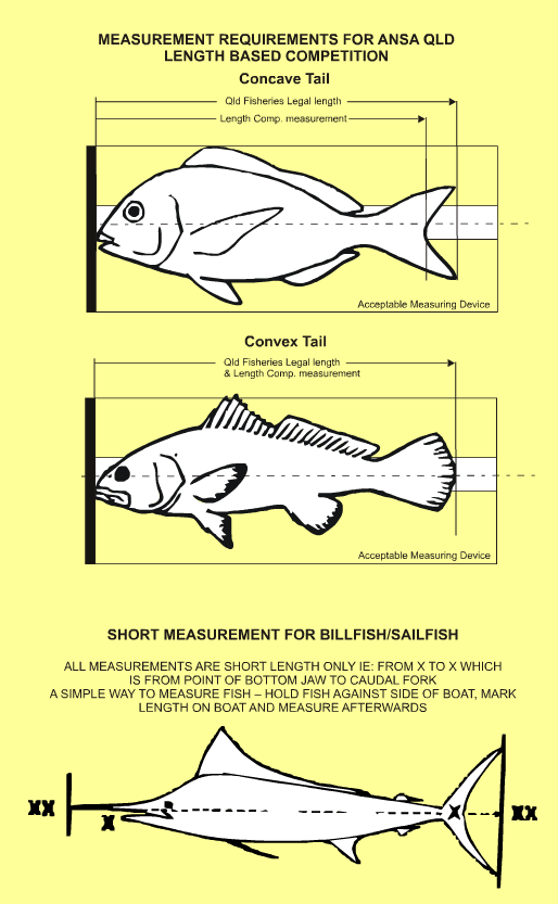 TROPHY FISH (LENGTH ONLY) COMPETITION RULES - Australian National ...